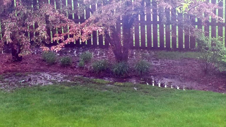 When Poor Drainage Causes Your Backyard to Retain Water